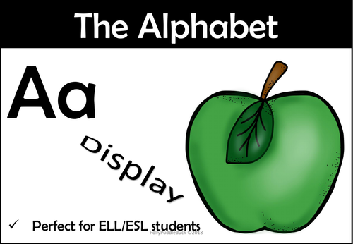 The Alphabet Flashcard Freebie | Teaching Resources