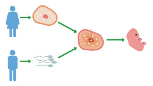Success in Science - Teaching Resources - TES