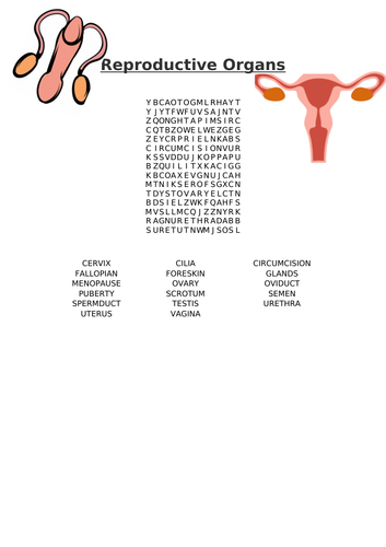 Reproductive Organs Word Search | Teaching Resources