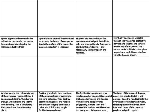 Human fertilisation storyboard AS level Edexcel | Teaching Resources
