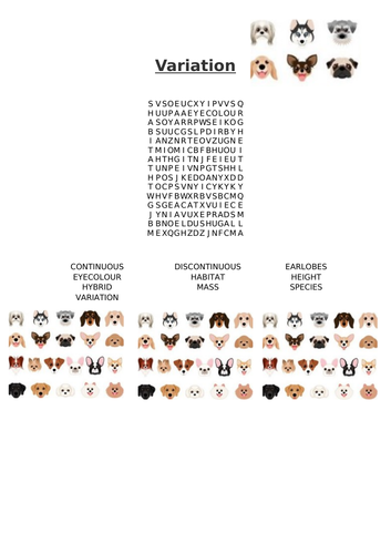 Variation Word Search | Teaching Resources