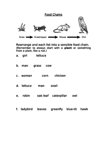 Food chains | Teaching Resources