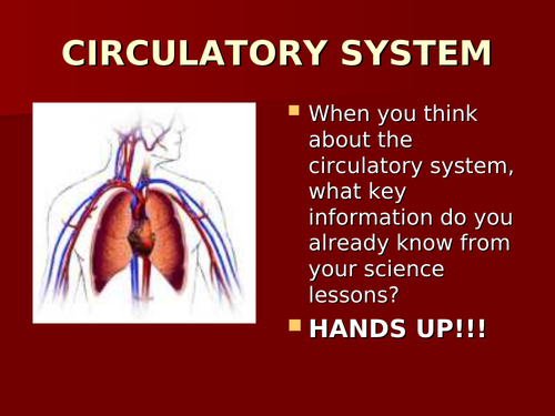 Circulatory presentation (lesson support) | Teaching Resources