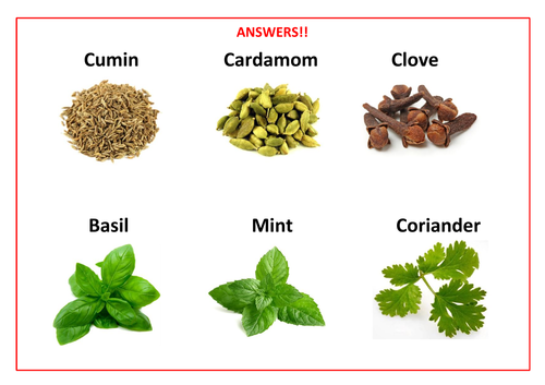 Indian Herbs & Spices by Lresources4teachers | Teaching Resources Indian Herbs & Spices by Lresources4teachers | Teaching Resources