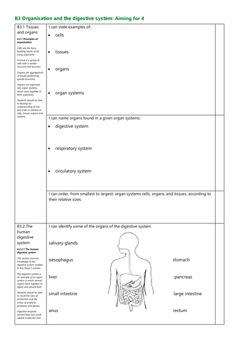 B3 Organisation and the digestive system G4 Revision Checklist AQA New Spec | Teaching Resources