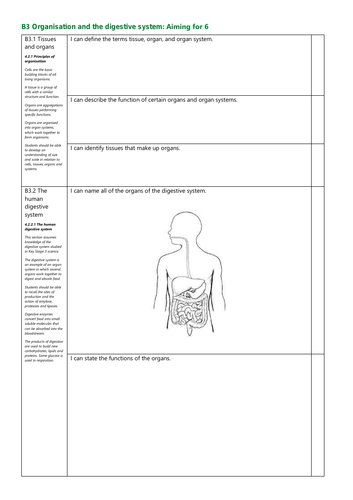 B3 Organisation and the digestive system Grade 6 Revision Checklist AQA ...