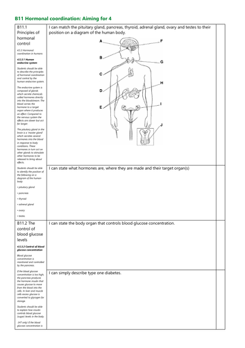 B11 Hormonal coordination Grade 4 Checklist AQA New Spec | Teaching ... B11 Hormonal coordination Grade 4 Checklist AQA New Spec | Teaching ...
