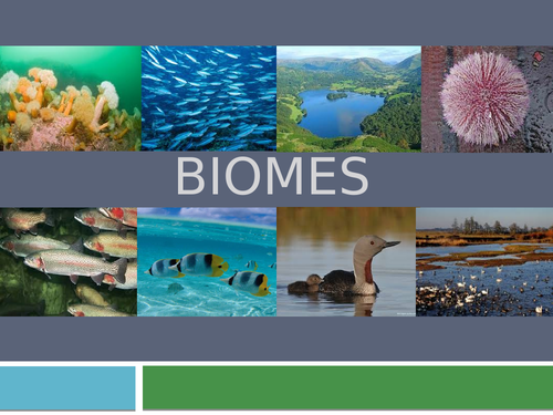 Biodiversity, biomes and conservation - 25 resources | Teaching Resources