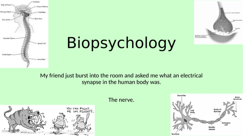 An Introduction to Biopsychology | Teaching Resources