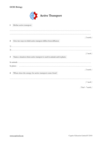GCSE Biology (9-1) - Active Transport - Worksheet | Teaching Resources