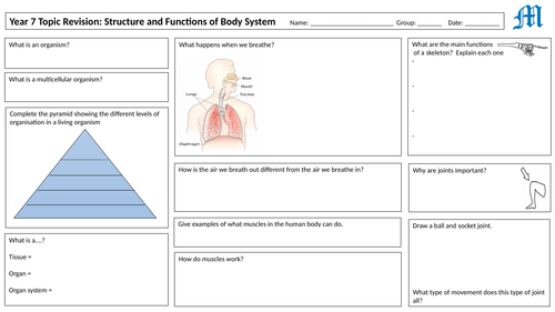 Year 7 Activate B2 Topic Revision Grid: Structure and Function of Body ...