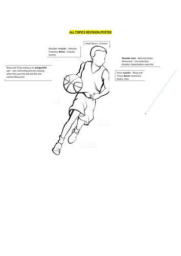GCSE PE Poster Keywords | Teaching Resources