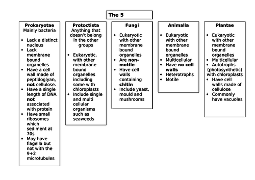 KS3 Unit 8D Biology - Yeast, Photosynthesis + Eutrophication, carbon ...