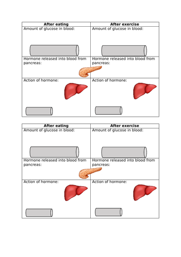 GCSE Control of blood glucose | Teaching Resources