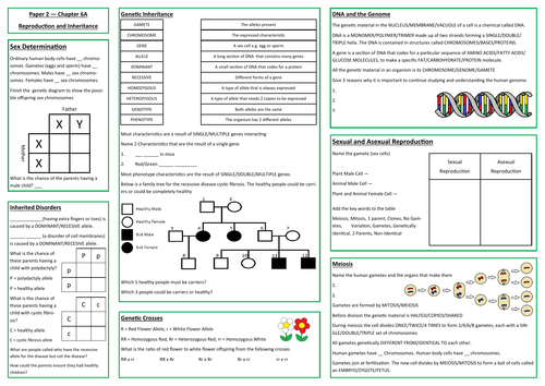 Reproduction and Inheritance Revision Placemat | Teaching Resources