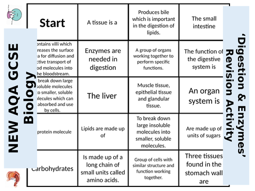 NEW AQA GCSE Biology 'Enzymes & Digestion' - Dominoes Revision Activity ...