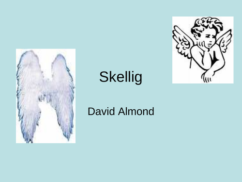 Skellig Powerpoint | Teaching Resources