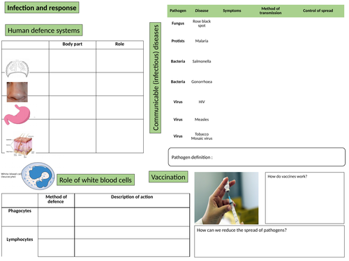 AQA Infection and response revision | Teaching Resources