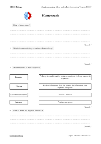 GCSE Biology (9-1) - Homeostasis - Worksheet and Video | Teaching Resources