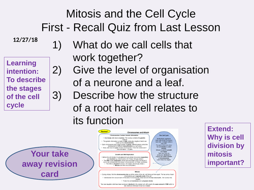 Mitosis Cycle The Cell Cycle | PPT