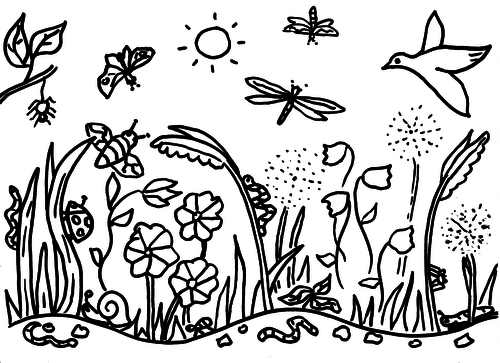 Meadow Colouring Sheet | Teaching Resources