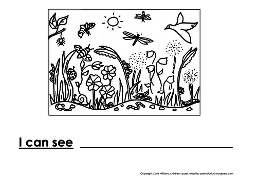Meadow Writing + Colouring - 1 line | Teaching Resources