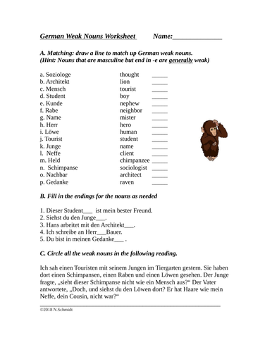 German Weak Nouns / N-Nouns Worksheet: Schwache Nomen | Teaching Resources