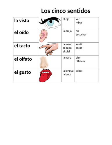 Cinco Sentidos (Five Senses in Spanish) Reference Sheet | Teaching ...