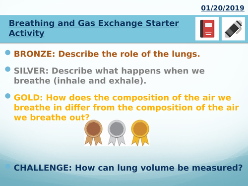 KS3/KS4 Biology Gas Exchange System Lungs Breathing Respiration Full ...