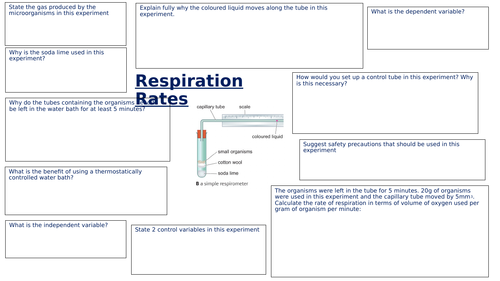 CB8d Respiration rates revision sheet | Teaching Resources