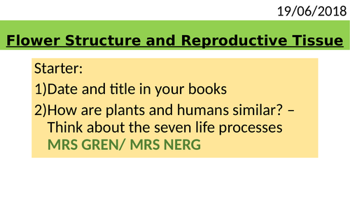 Year 8 Flower Structure and Reproductive Tissue | Teaching Resources