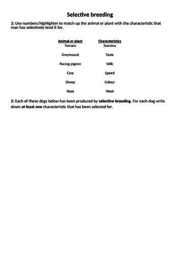 Year 8 Selective Breeding | Teaching Resources