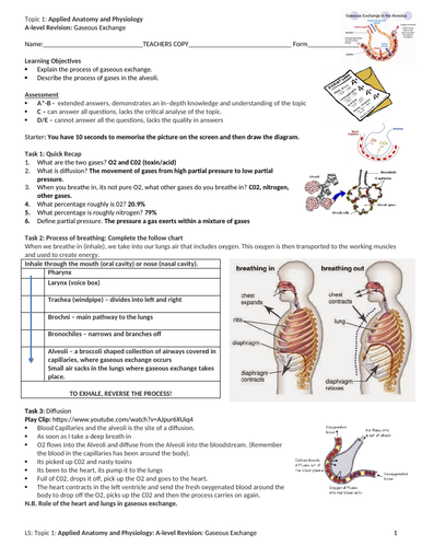 A-Level PE EDEXCEL (spec 2016) Gaseous Exchange Revision Lesson ...