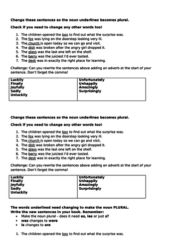 Plurals revision Year 3 | Teaching Resources