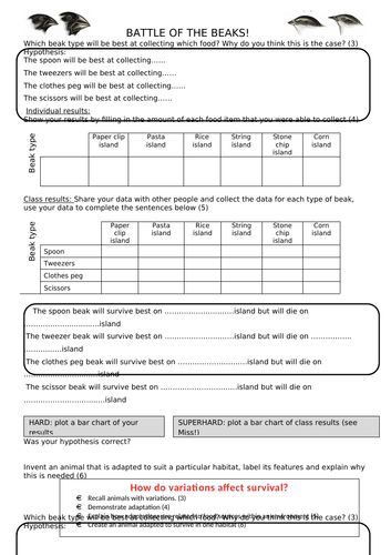 Beak variation. Battle of the beaks. levelled activity plus worksheet ...