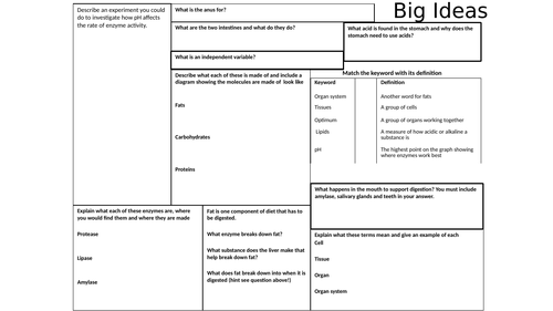 Digestive System A3 Learning Mat Revision Resource | Teaching Resources