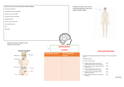AQA Psychology- Biopsychology, Nervous System AS- What have you understood? A3 worksheet ...