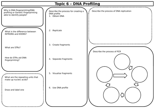 SNAB Topic 6 Revision Sheets | Teaching Resources