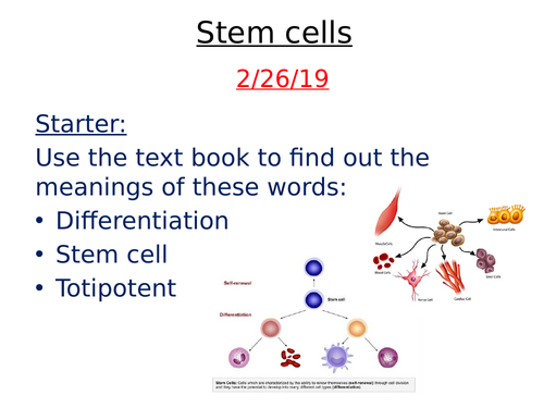 Stem cells- AQA Biology A Level | Teaching Resources