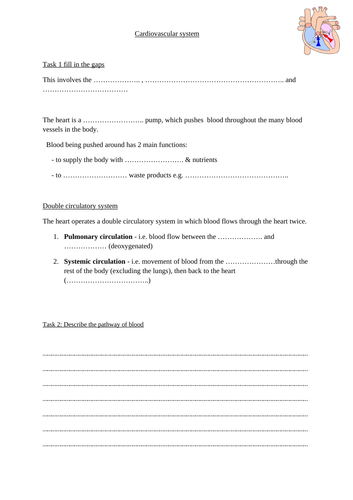 Cardiovascular system activity OCR GCSE PE | Teaching Resources Cardiovascular system activity OCR GCSE PE | Teaching Resources