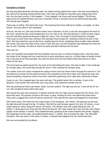 AQA Paper 1 Question 5 - One Page Story - (Cacophony of Quiet ...