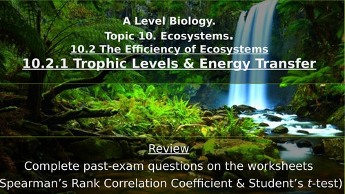 A Level Trophic Levels & Energy Transfers | Teaching Resources