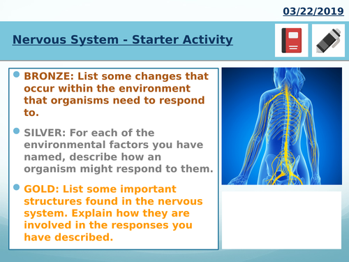 GCSE 9-1 Science Biology Nervous System Neurone Voluntary Involuntary ... GCSE 9-1 Science Biology Nervous System Neurone Voluntary Involuntary ...