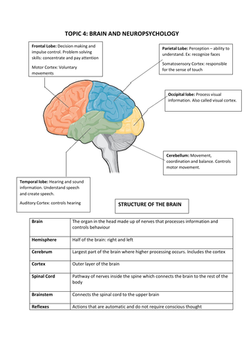 Edexcel GCSE (9-1) Psychology Topic 4 Revision | Teaching Resources Edexcel GCSE (9-1) Psychology Topic 4 Revision | Teaching Resources