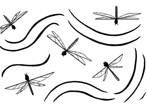 Beautiful Dragonflies Picture-Poem Sheet for Expressive Writing ...