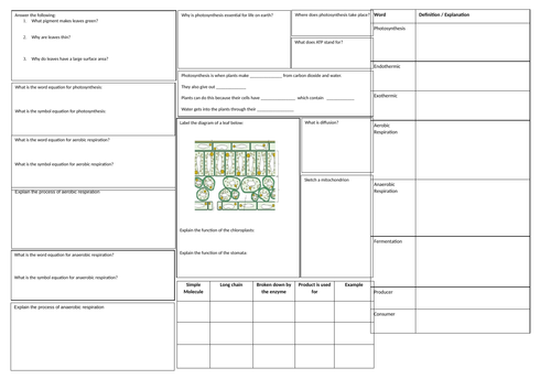 KS4 Photosynthesis & Respiration Revision Mat | Teaching Resources