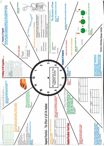 AQA GCSE Biology B3 Organisation & The Digestive System Revision Clock ...