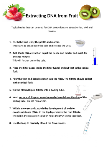 Extracting DNA Instruction Sheets | Teaching Resources