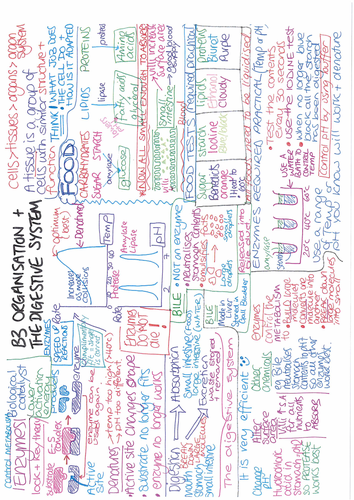 B3 Digestion & Enzymes ONE PAGE SUMMARY AQA GCSE Biology 9-1 | Teaching ...