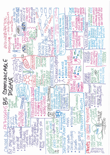 B5 Communicable Disease One Page Revision Summary Aqa Gcse Biology 9 1